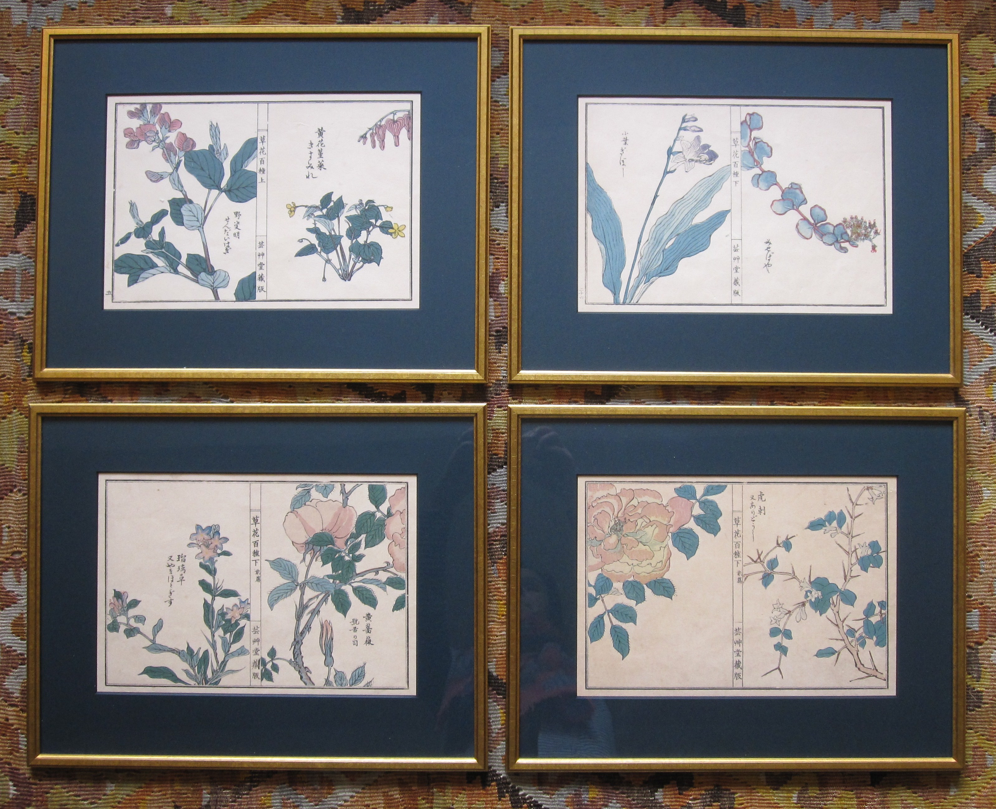 framed Japanese botanical prints – Tokyo Jinja